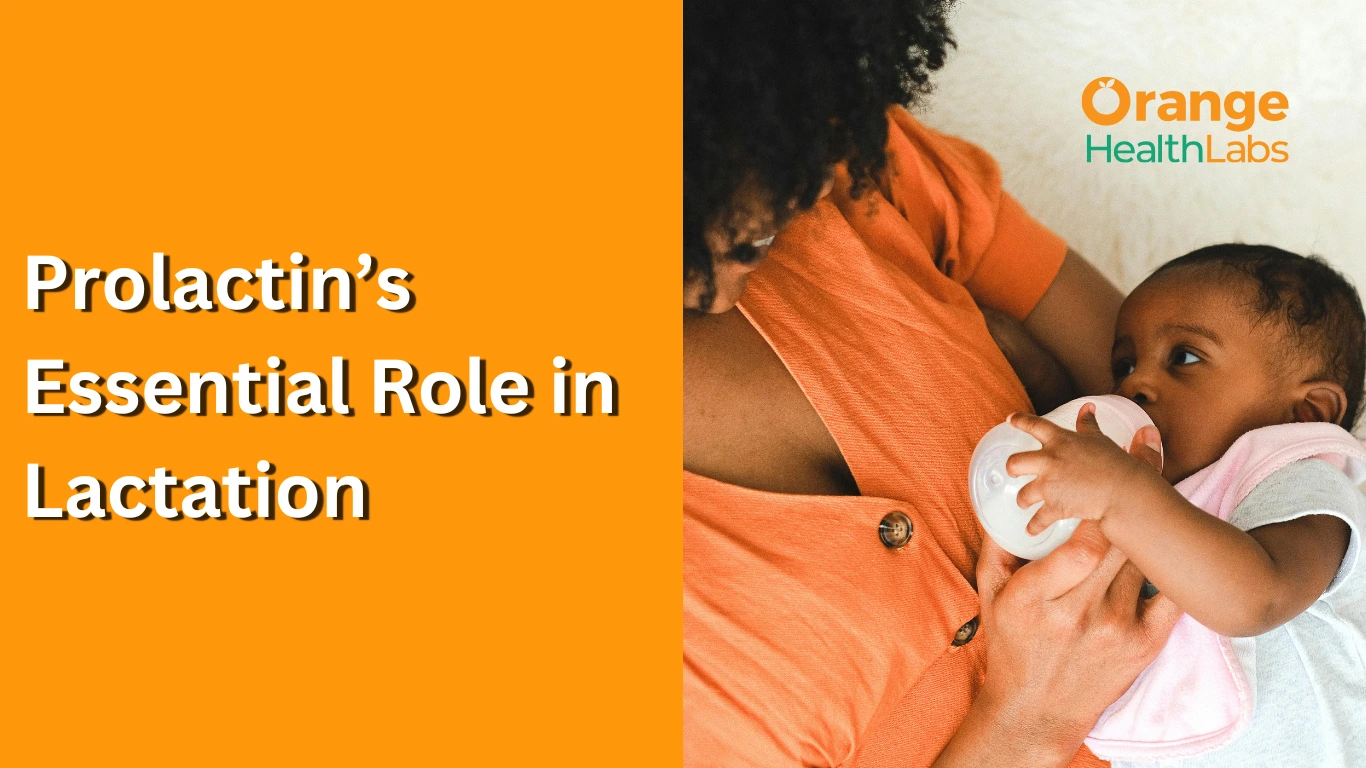 The Role of Prolactin in Lactation: What You Should Know
