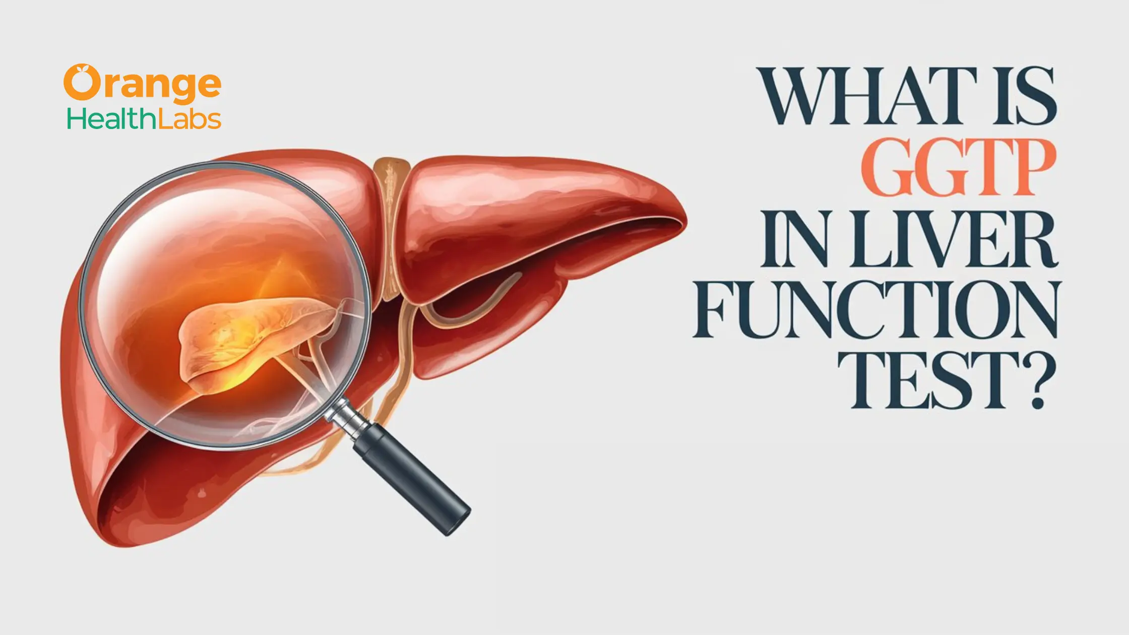 Understanding Glucose Tolerance Test: Normal Range Results and ...