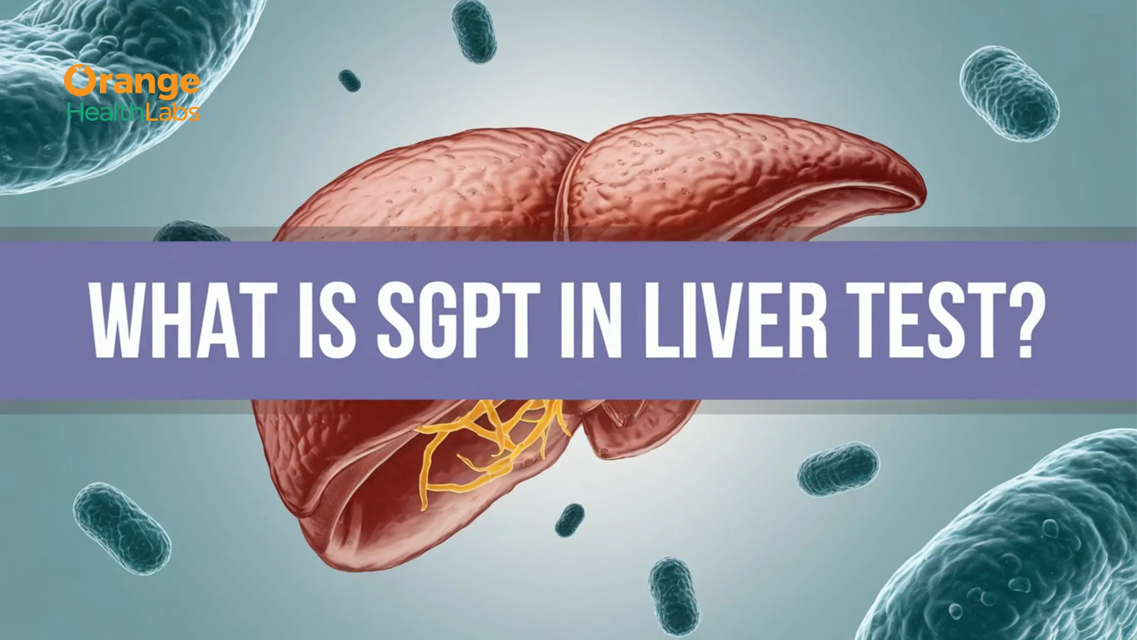 What Is SGPT in Liver Test? | Understanding SGPT Levels